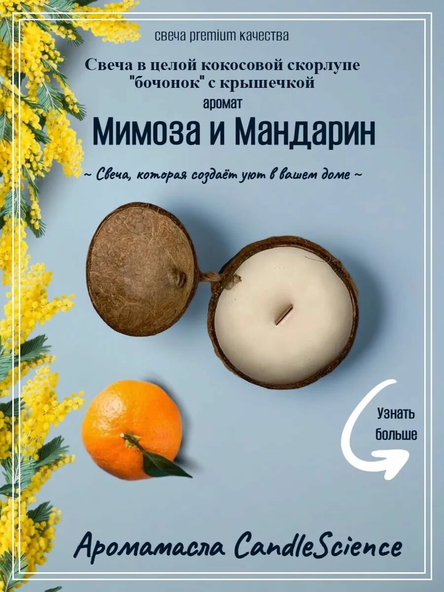 Аромасвеча XL CandleScience Mimosa and Mandarin