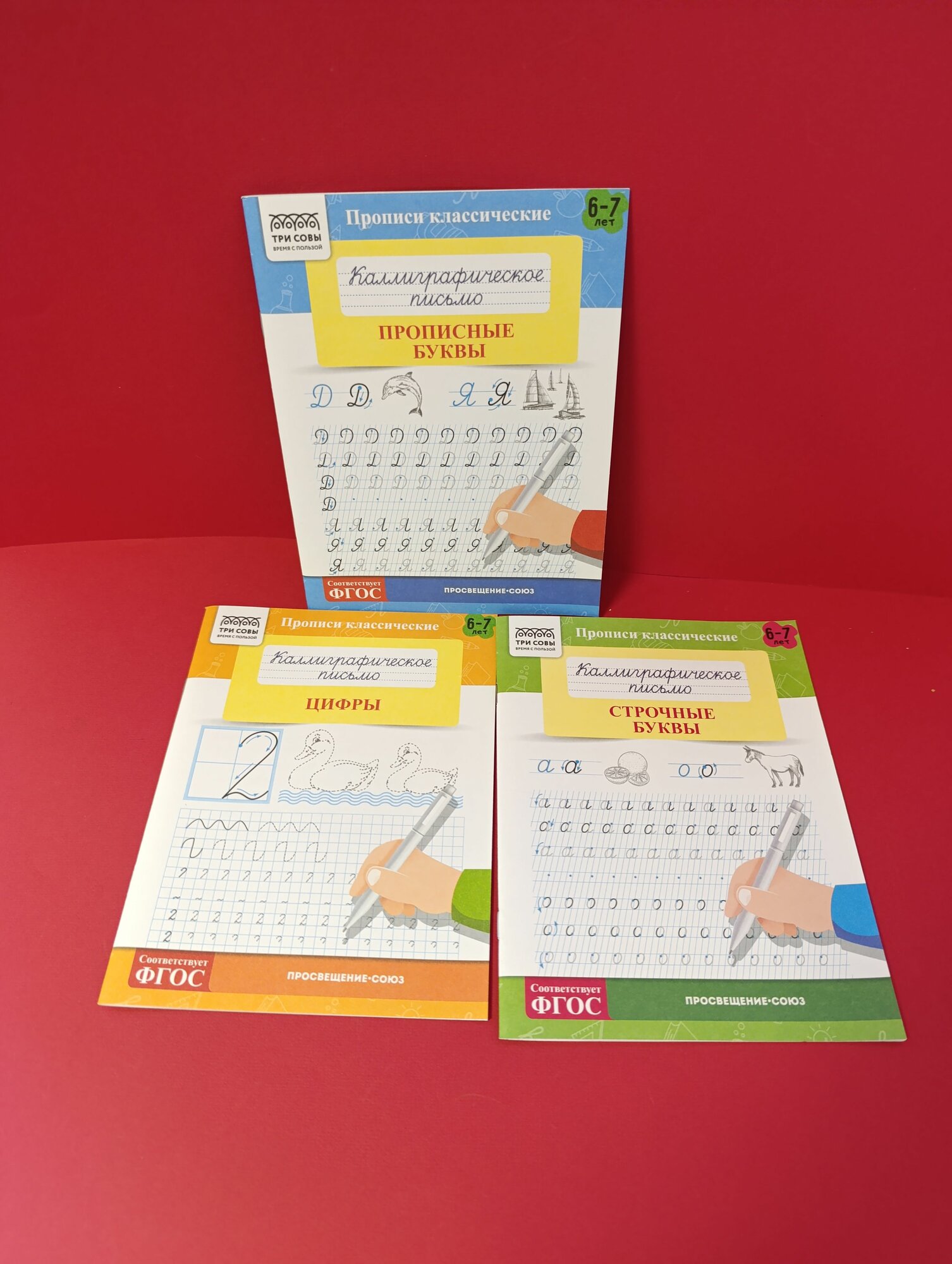 Прописи "Каллиграфическое письмо" 6-7 лет 16 стр 3 шт