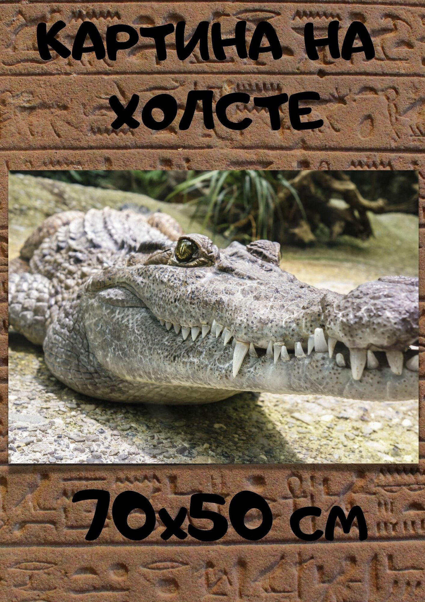 Картина с дикими животными "Опасный крокодил" 70х50 см