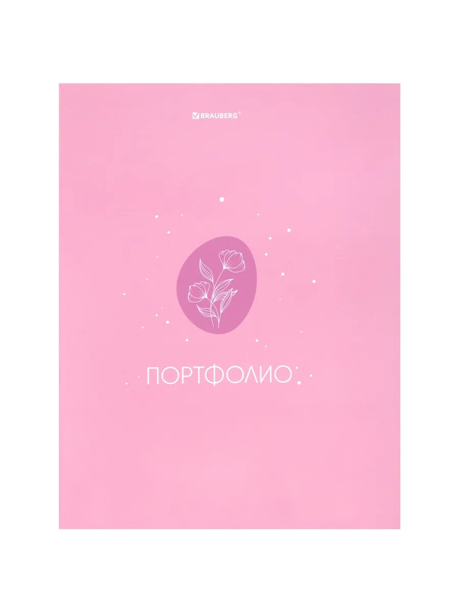 Папка-портфолио универсальная, 4 кольца, 20 файлов