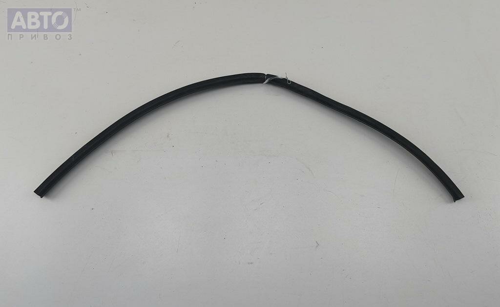 Уплотнитель двери передней правой BMW X5 E53 (1999-2006)