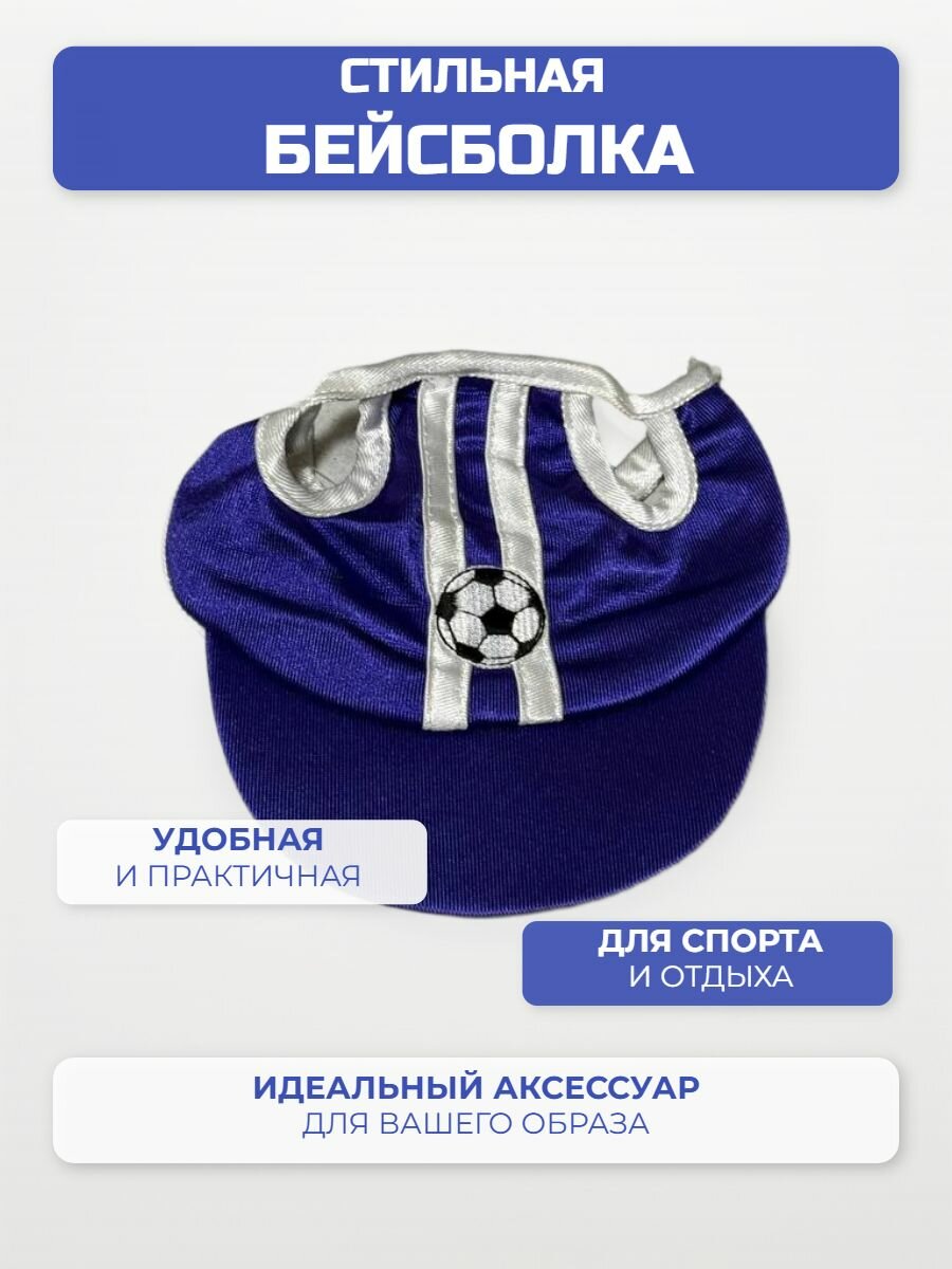 Бейсболка для собак