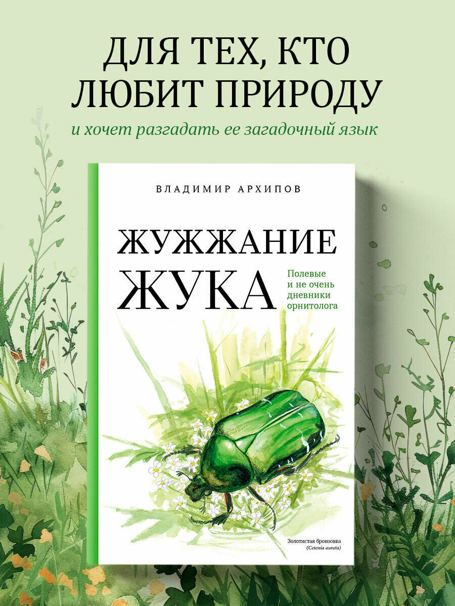 Архипов В. Ю. Жужжание жука. Полевые и не очень дневники орнитолога
