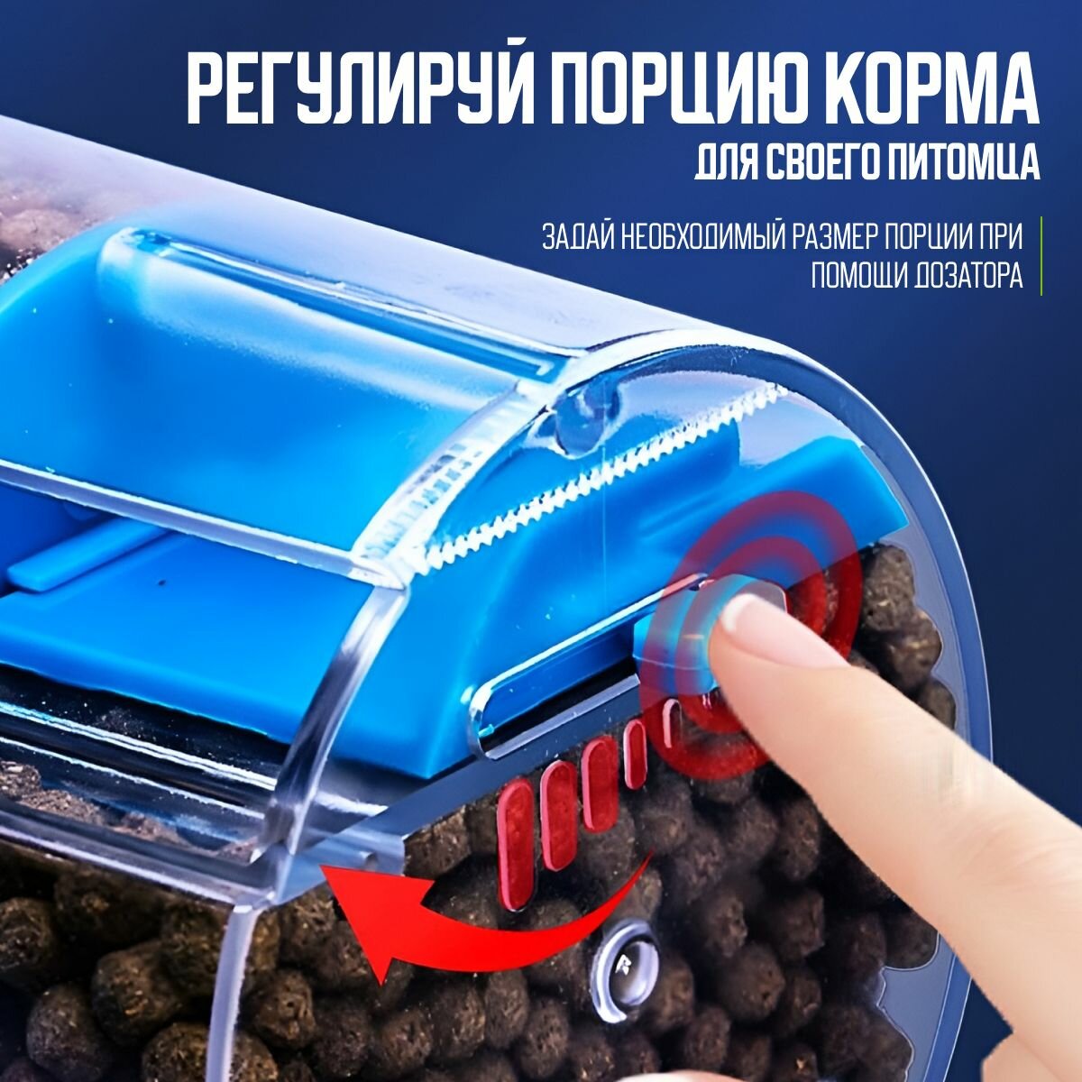 Автокормушка — фото 1