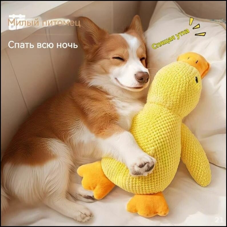 Плюшевые игрушки для питомцев, эксклюзивный ассортимент