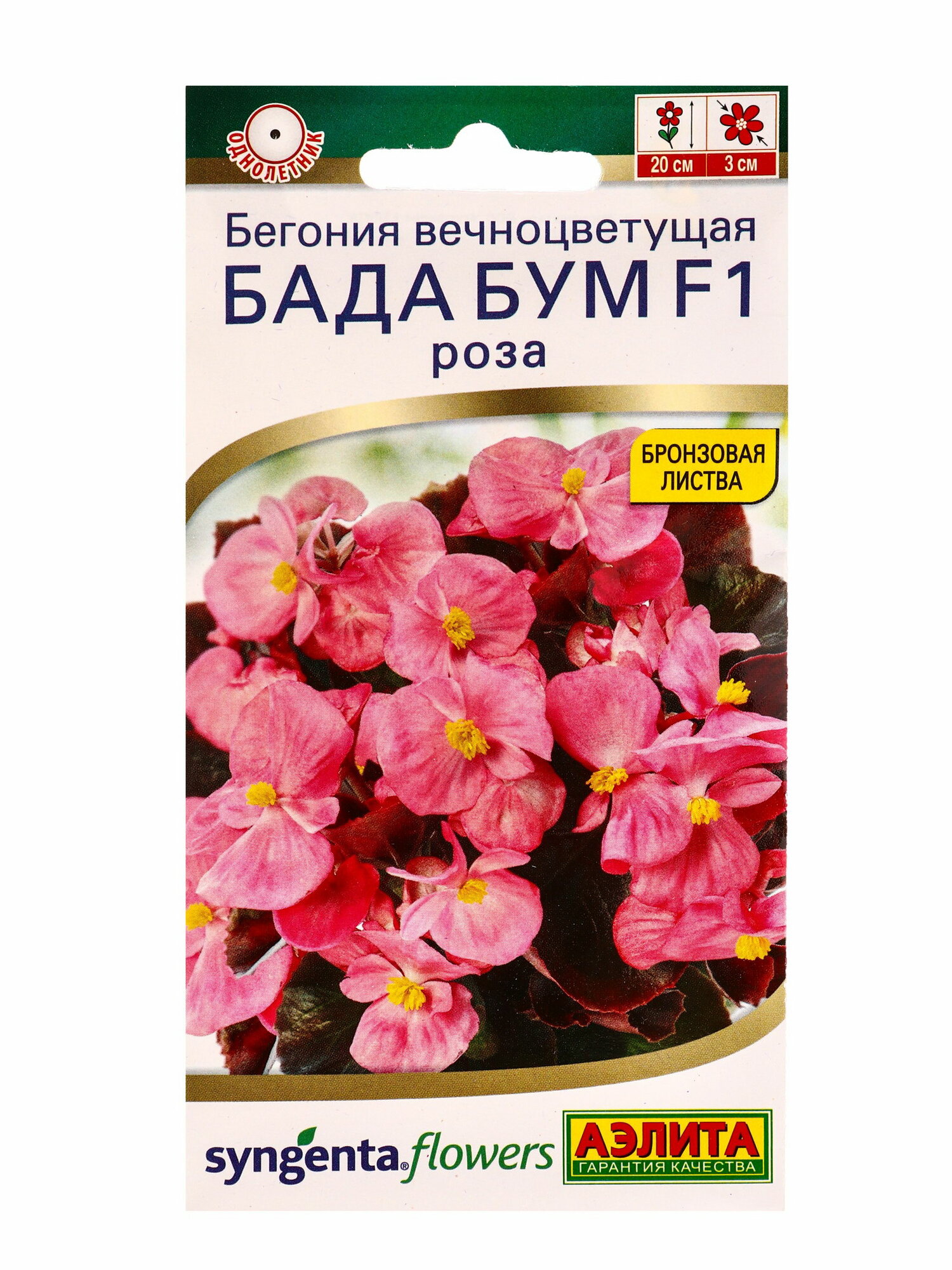 Семена цветов Бегония вечноцветущая "Бада Бум" F1, роза, драже, 5 шт.