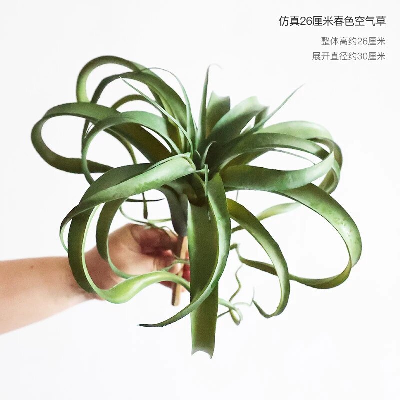 Имитация флокированного воздуха, ананаса, фигурных листьев, травы, большие суккуленты в пустыне, скандинавская