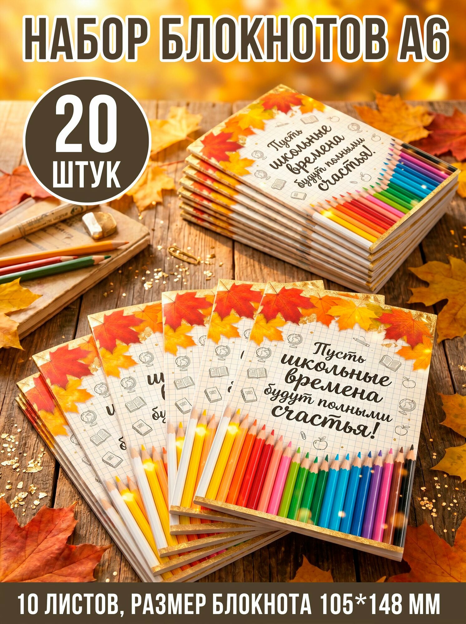 Набор блокнотов для школьников на 1 сентября А6 20 шт
