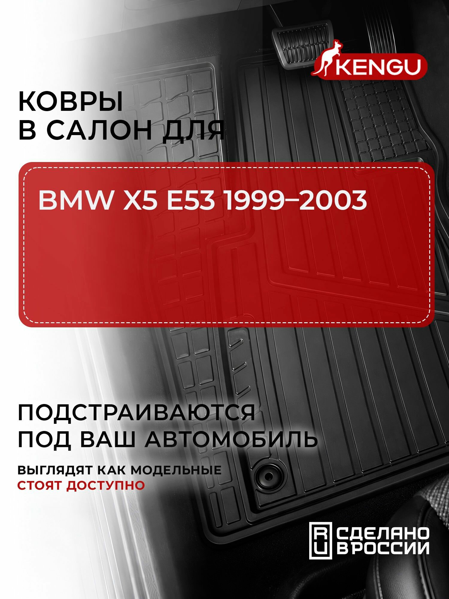 Коврики в салон универсальные для BMW X5 E53 (1999-2003), 4 шт. / БМВ Х5