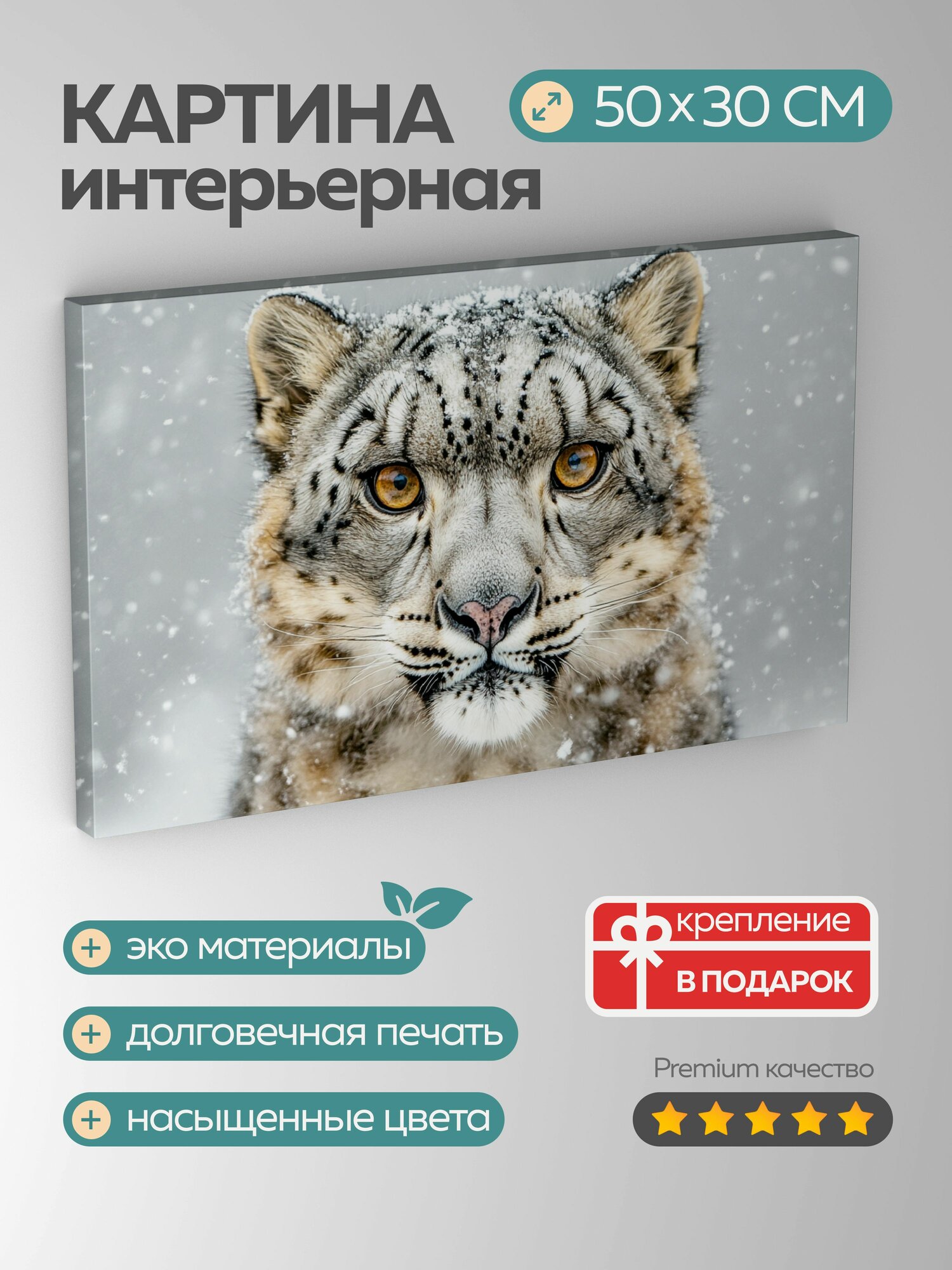 Картина на холсте интерьерная 50х30 см, Снежный барс, заснеженный пейзаж, мех барса, устремленный взгляд, четкость, f