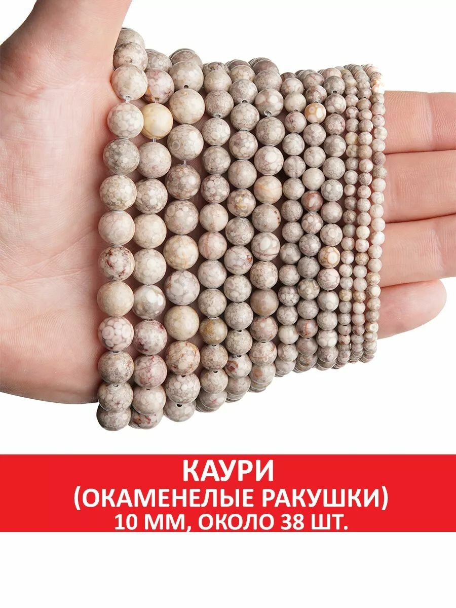 Каури (окаменелые ракушки) 10 мм, бусины на нитке (около 38 шт)