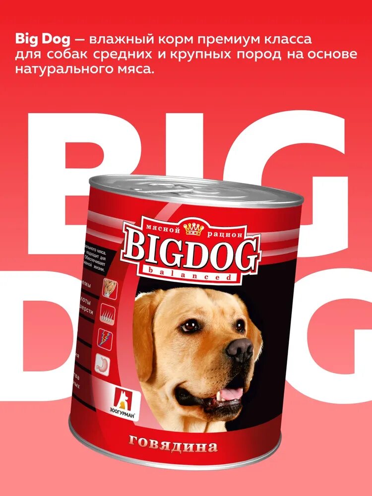 Консервы Зоогурман "Big Dog", для собак, говядина, 850 г, 1 шт