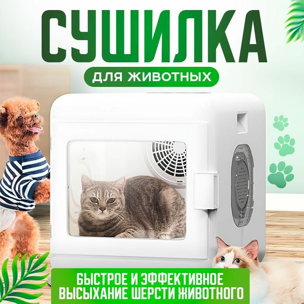 Автоматическая сушилка Takara CW-026 для кошек и собак / сушка для шерсти животных / сушильная камера для груминга домашних питомцев