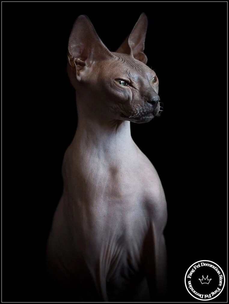 Алмазная мозаика на подрамнике "Кот породы сфинкс" круглые бриллианты 40х50см