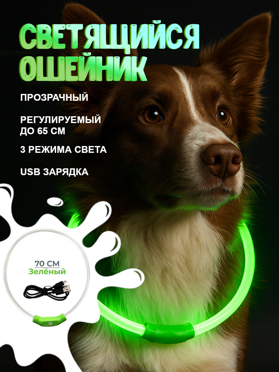 Ошейник светящийся светодиодный для собак с USB зарядкой 70 см, прозрачный с зеленым