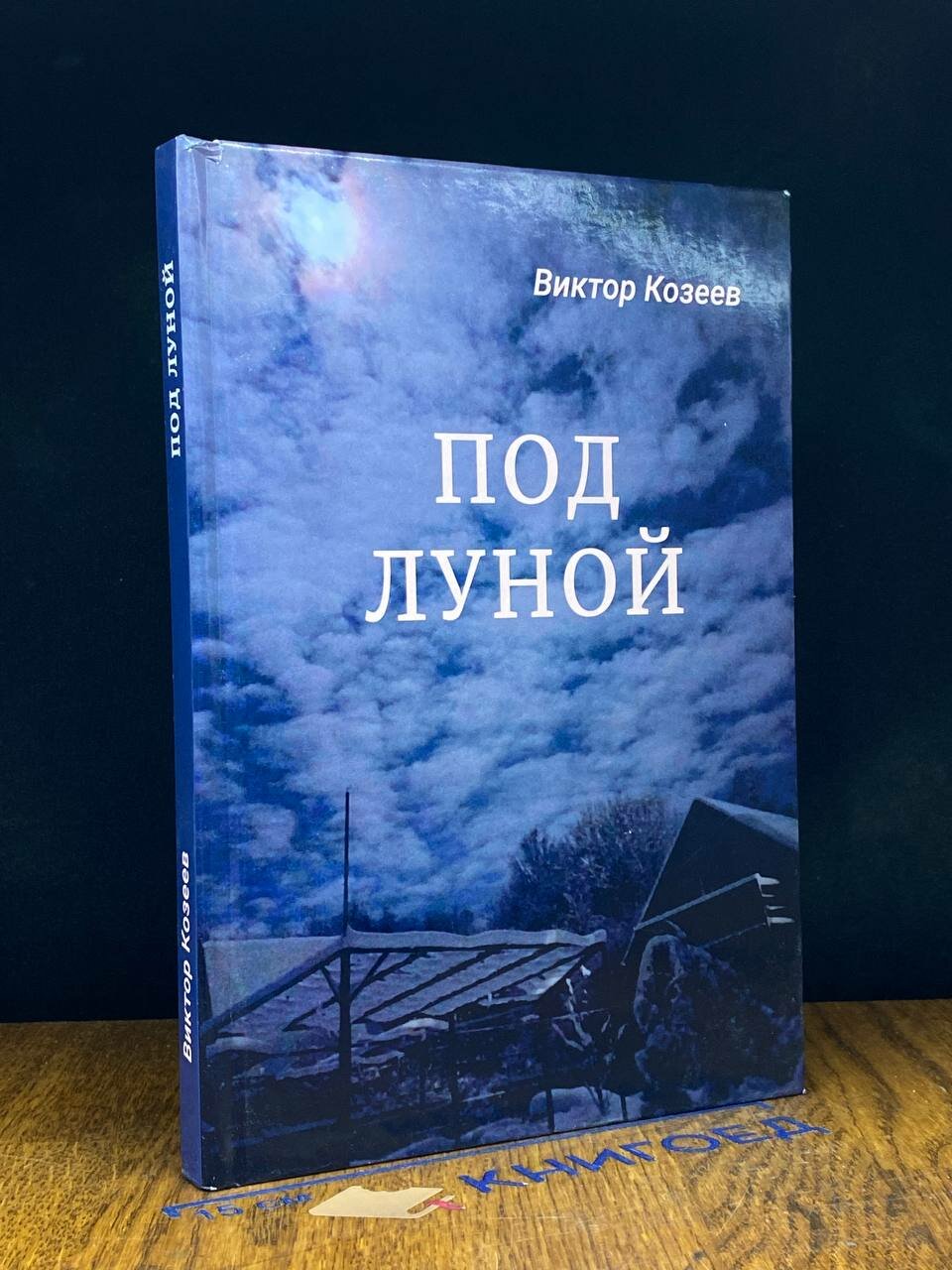 Книга. Под луной 2024 (2044649546893)