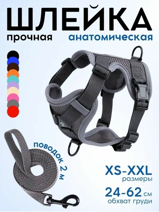 Шлейка для собак мелких средних пород и кошек с поводком