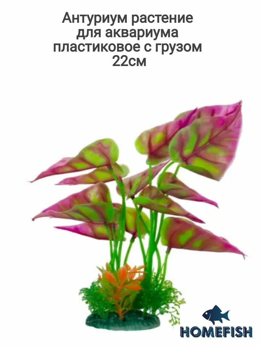 HOMEFISH 22 см Антуриум растение для аквариума пластиковое с грузом