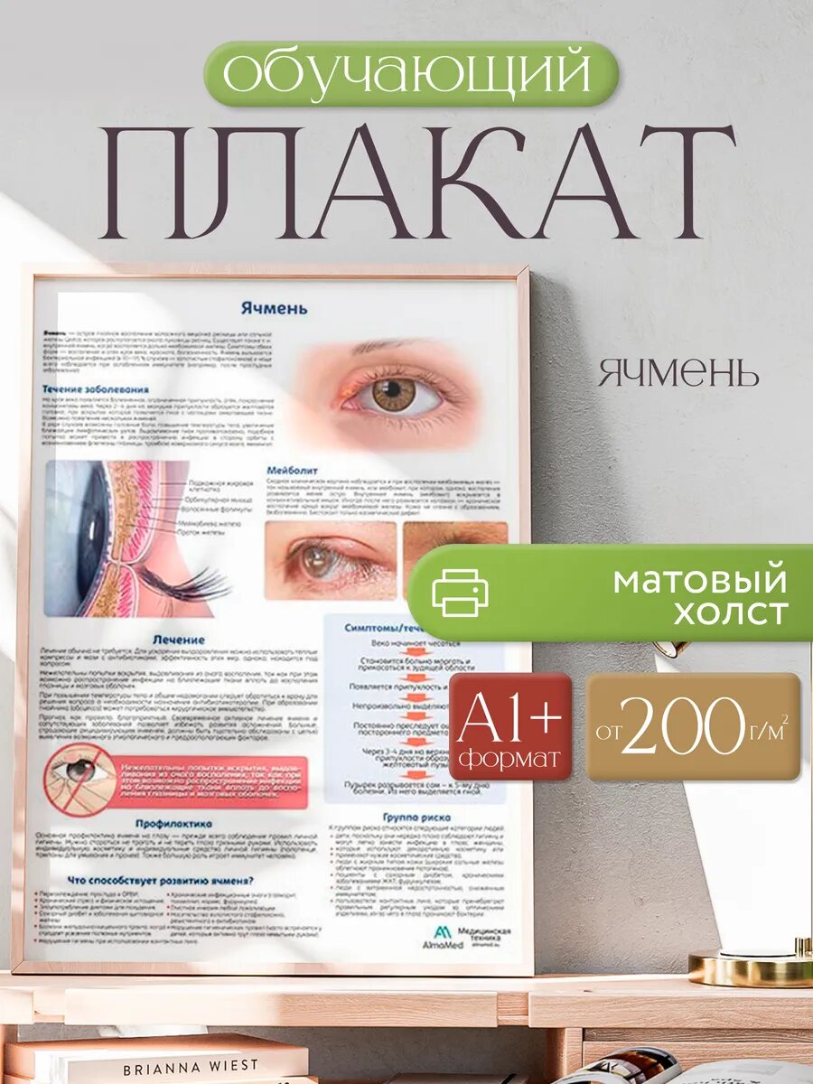 Ячмень медицинский плакат, матовый холст от 200 г/кв. м, размер A1+