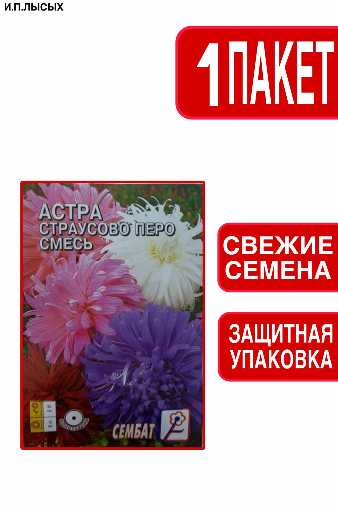 Семена Астра "Страусово перо смесь"