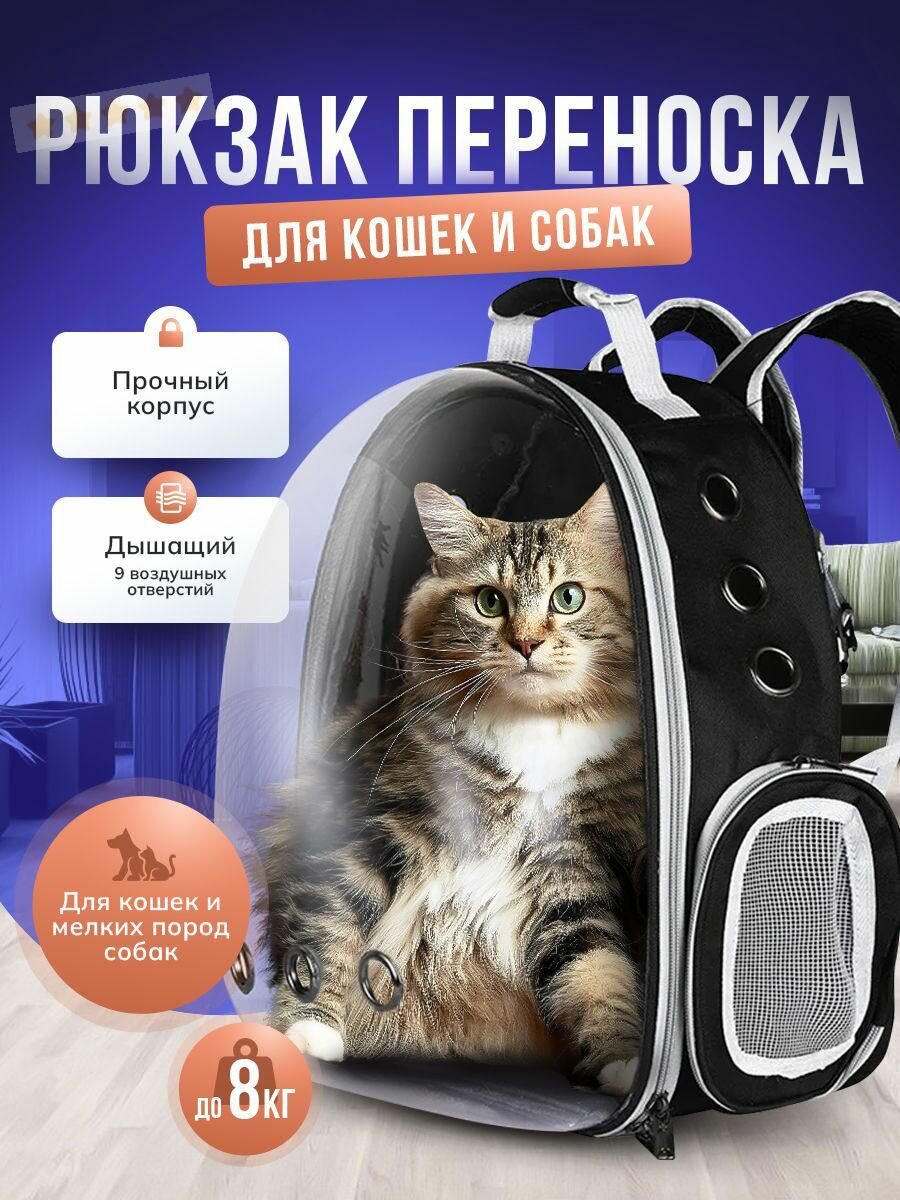 Переноска