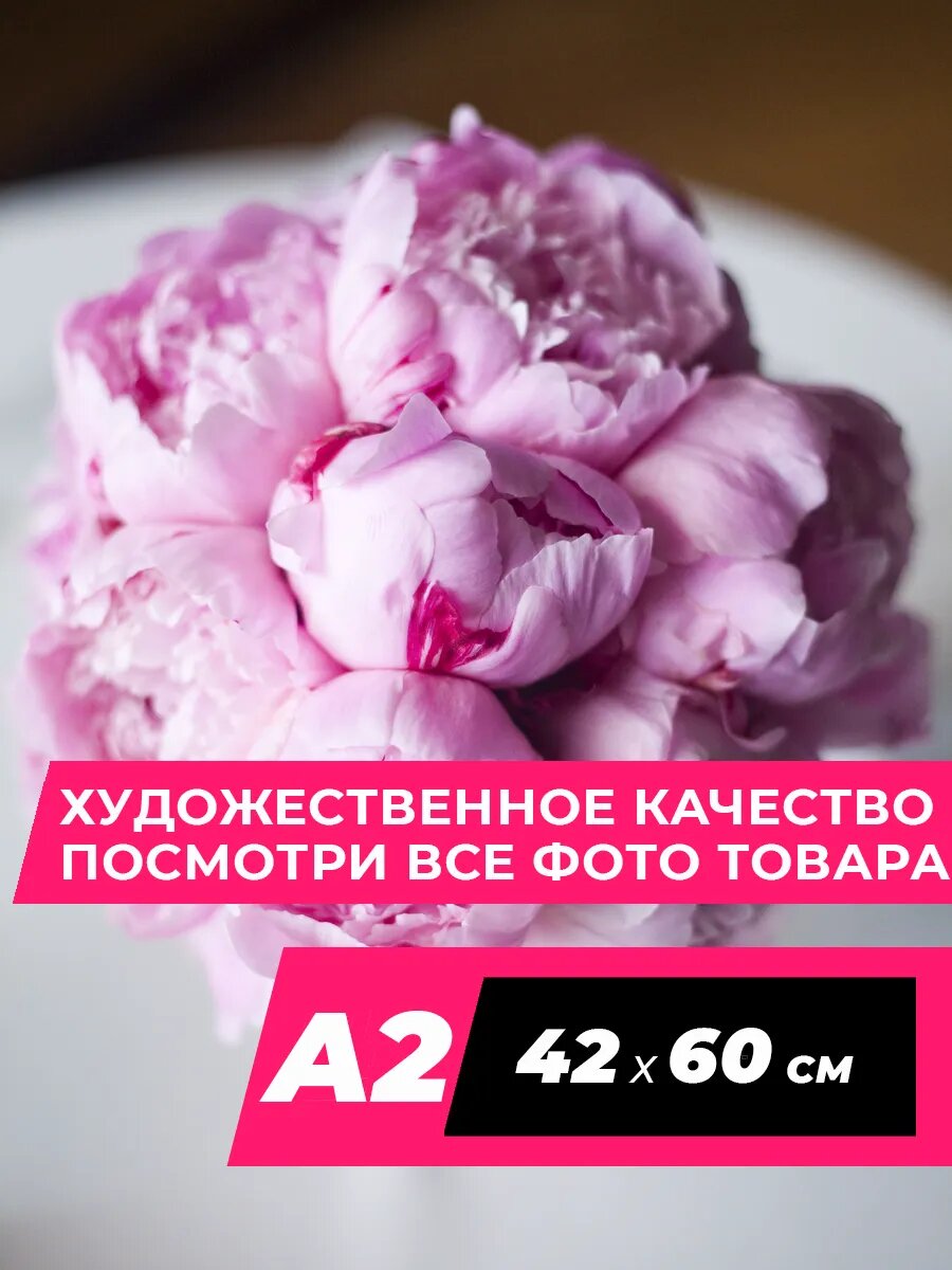 Постер пионы на стену 46 Paeonia A2, матовая фотобумага премиум качества