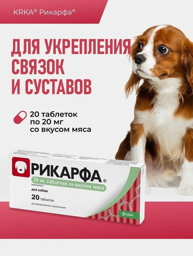 Рикарфа таблетки со вкусом мяса, противовоспалительное и болеутоляющее 20 мг №20