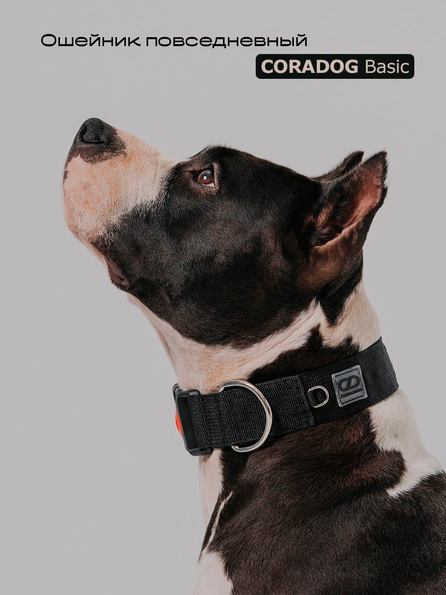 Ошейник широкий повседневный, CORADOG Basic, для средних и крупных собак, черный, размер L-4 48-70 см