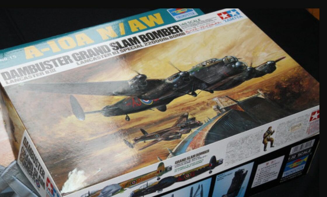 Trumpeter 02215 1/32 scale A-10A N/AW Two-Seat 1979 республика США THUNDERBOLT II Набор моделей самолетов