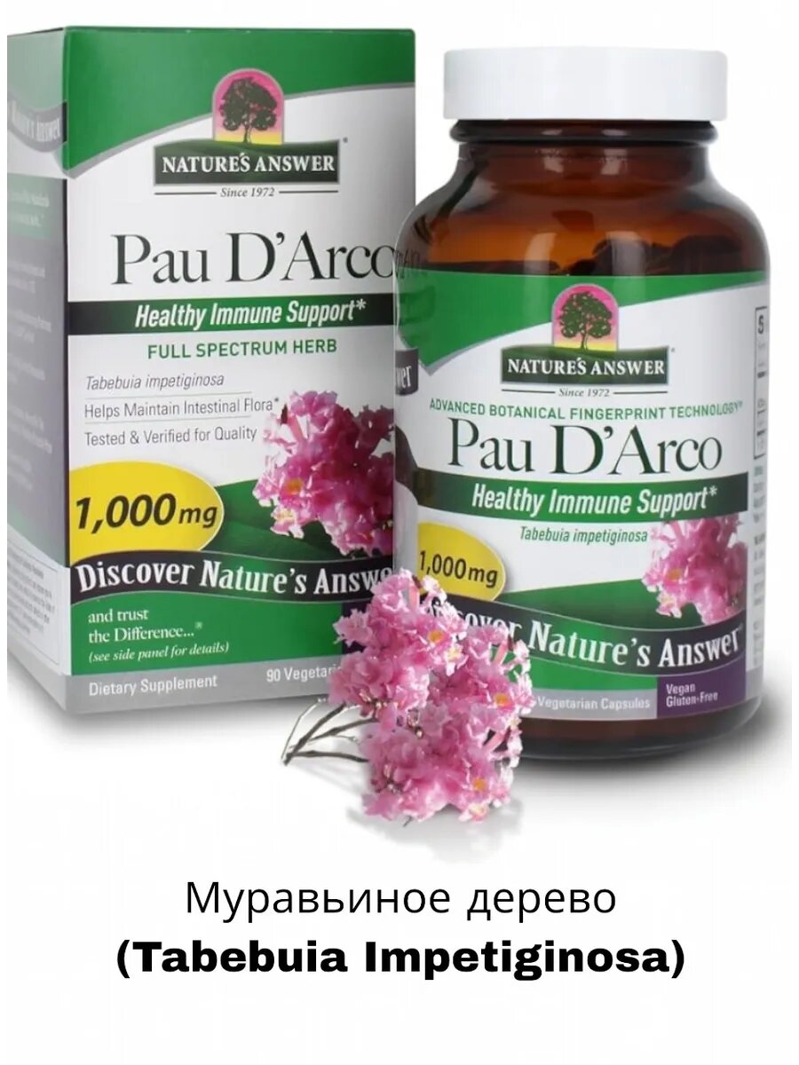 Pau D’Arco природный растительный антибиотик