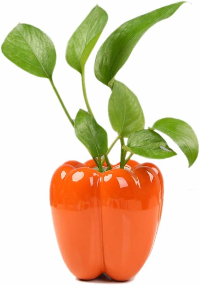HAQI Керамическая гидропонная ваза "Зеленый болгарский перец" для декора и выращивания растений