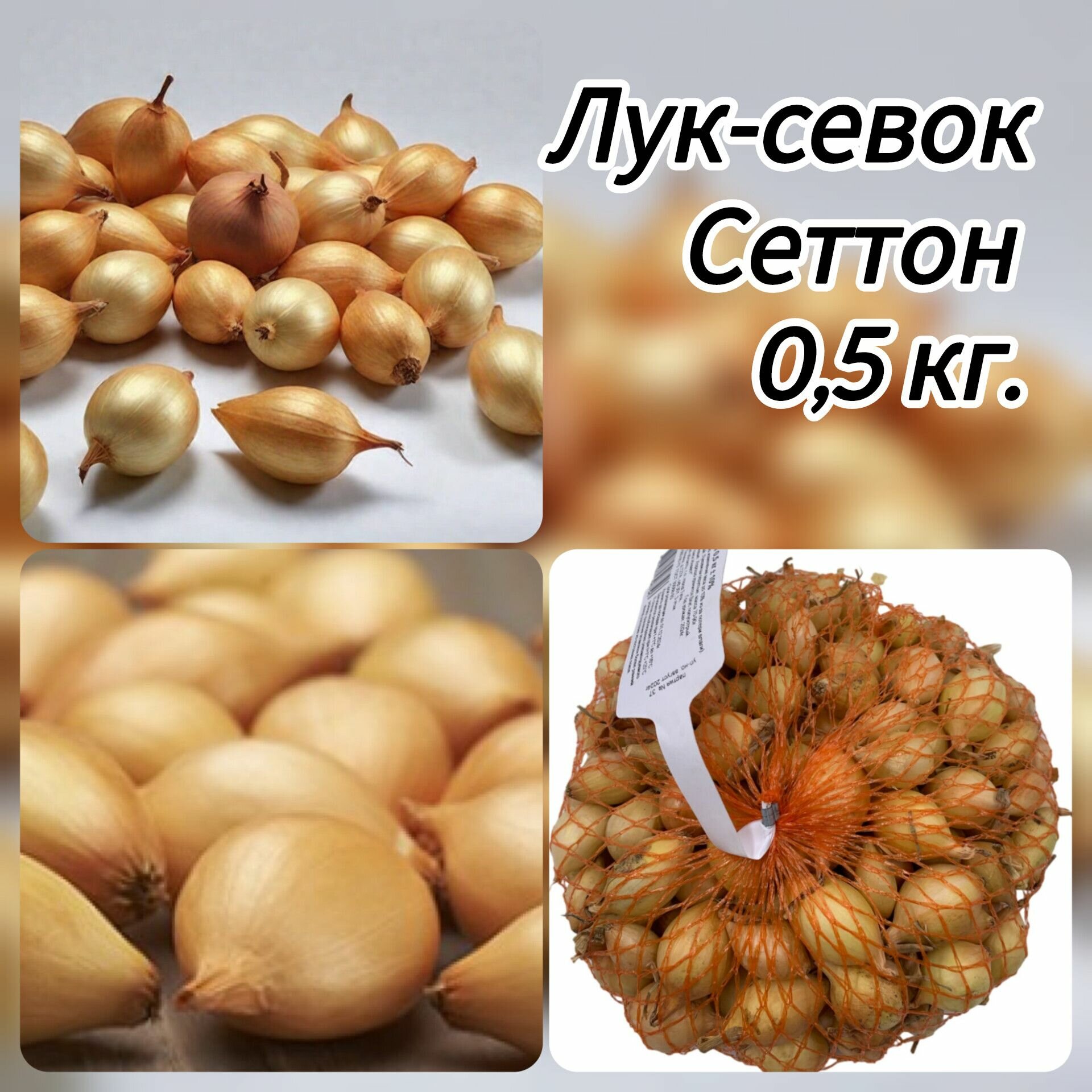 Лук- севок Сеттон, 0,5кг.