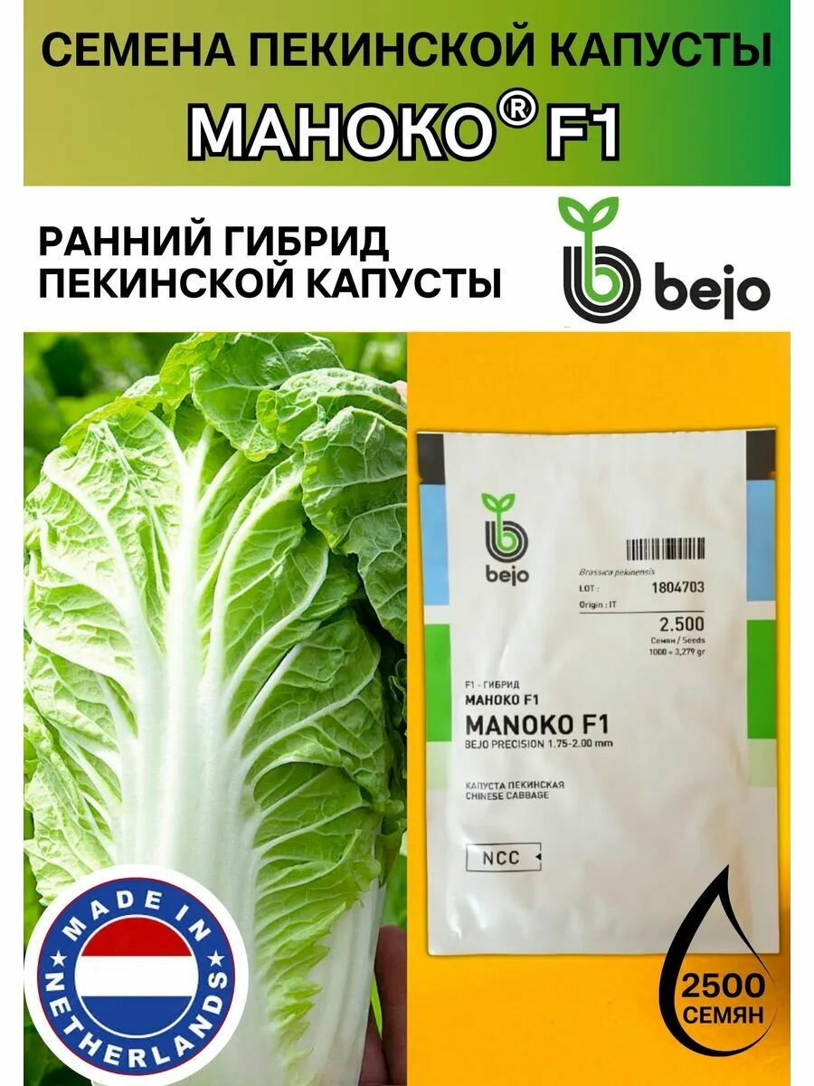 Капуста пекинская Маноко F1 2500 семян Bejo, профессиональные семена