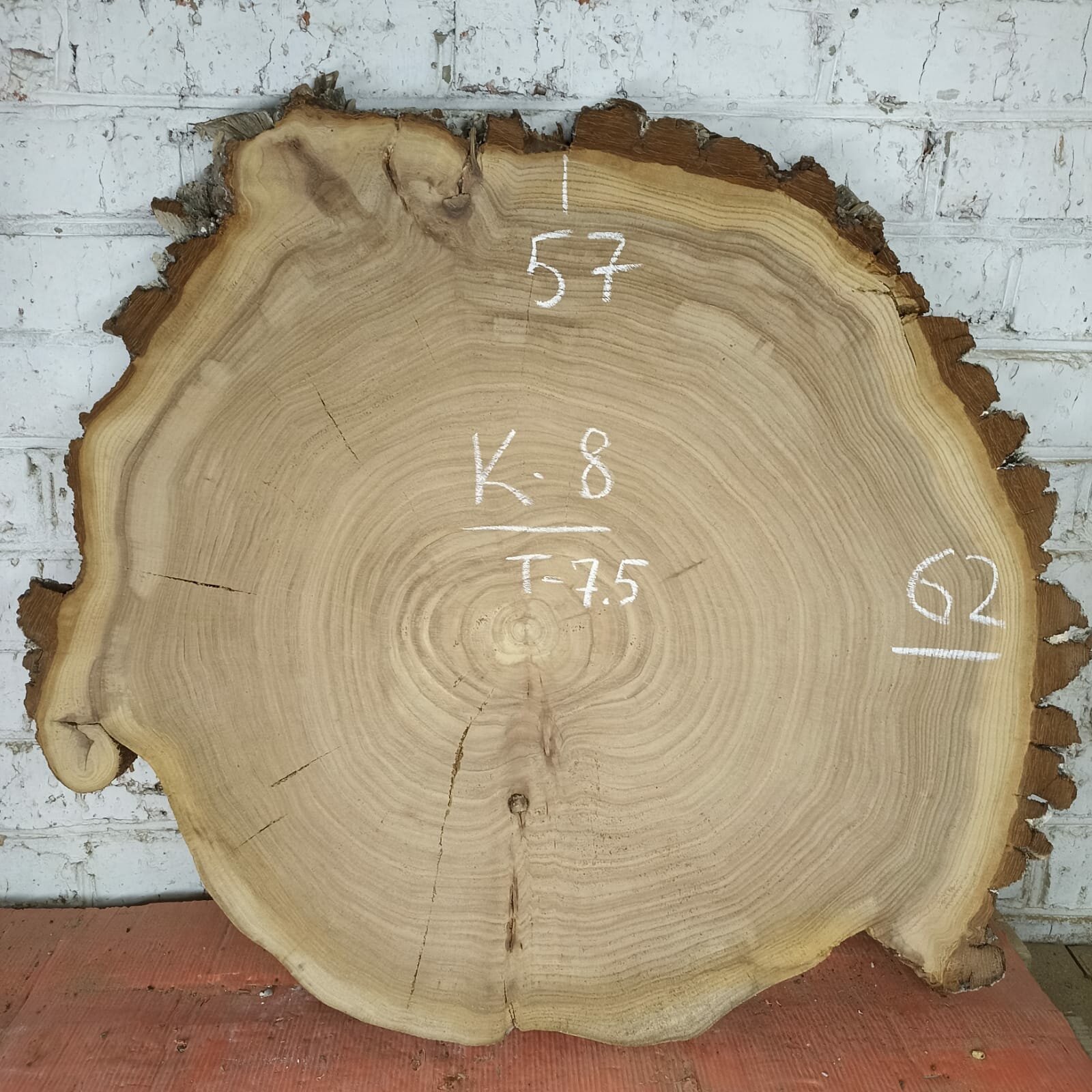Торцевой спил Донслэб К-8 карагача, цельный, шлифованный, диаметр 57-62см, толщина 7,5см
