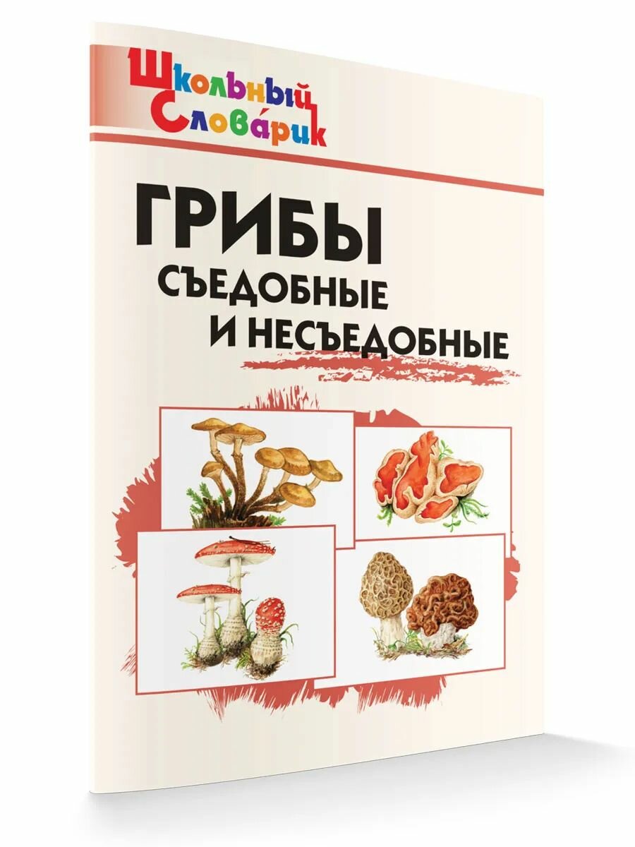 Грибы: съедобные и несъедобные