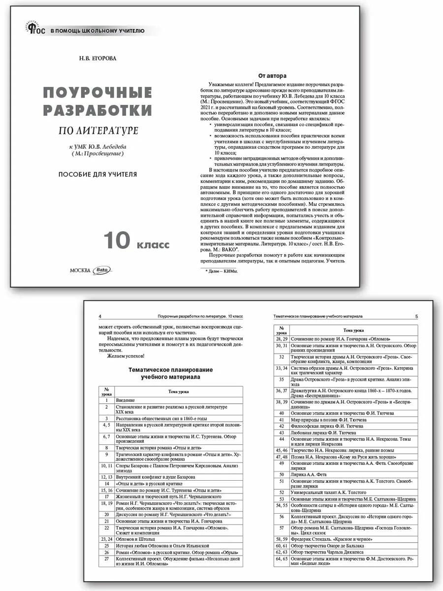 10 кл. Литература. — фото 1