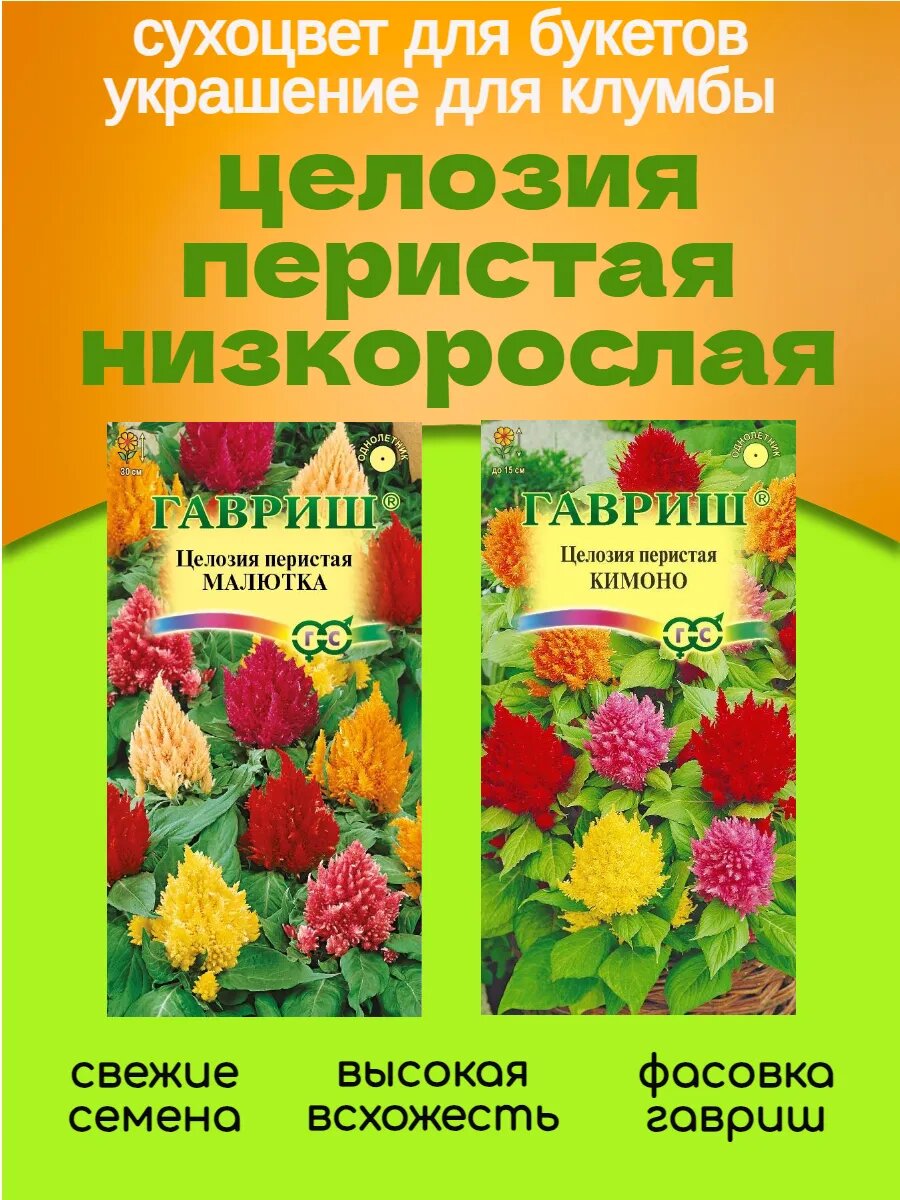Целозия семена перистая низкорослая смесь 2 пакета