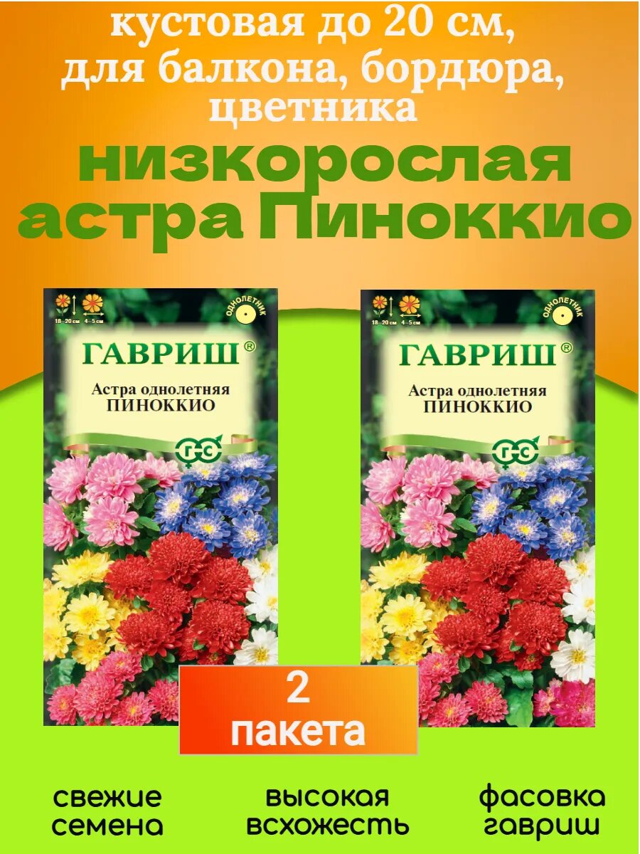 Семена астры Пиноккио низкорослой кустовой 2 пакета