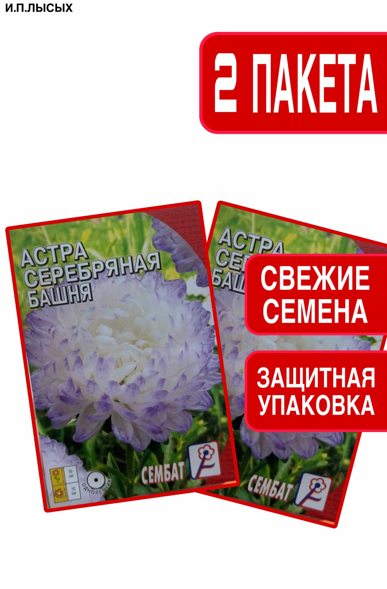 Семена Астра "Серебряная Башня"