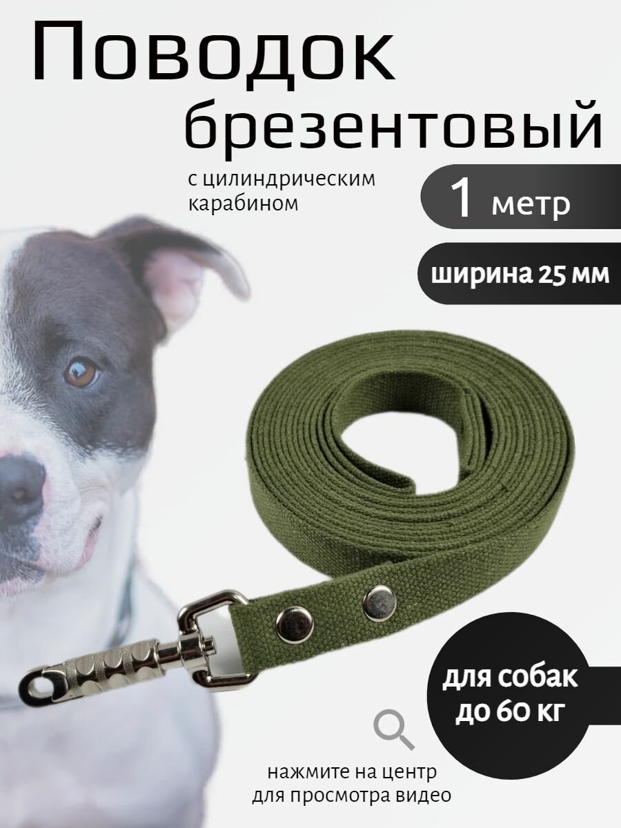 Поводок Хвостатыч для собак крупных пород брезент с цилиндрическим карабином 1 м х 25 мм (зеленый)