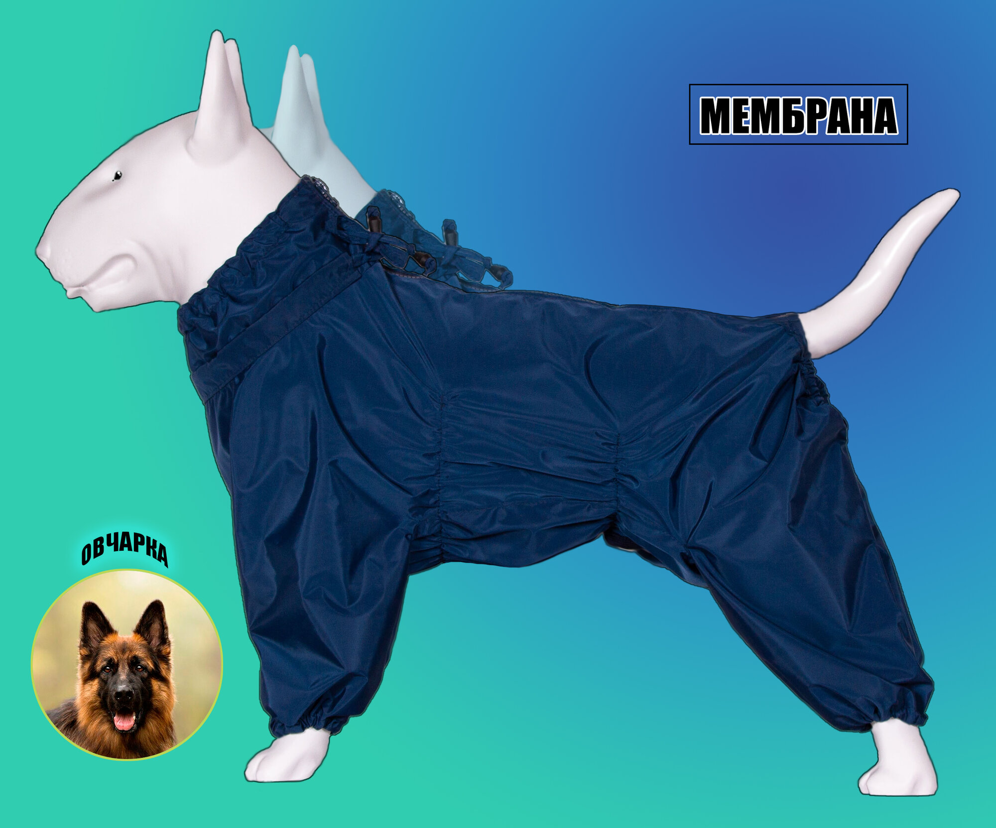 Комбинезон-дождевик для немецкой овчарки кобеля, мембрана, цвет морская волна