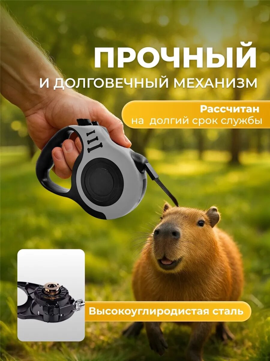 Ринговки для собак — фото 1