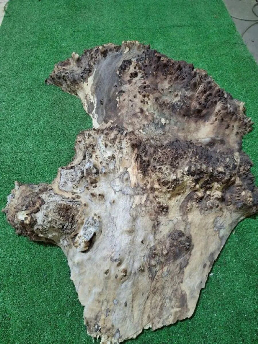 Заготовка для творчества тополь (860-700-140мм)