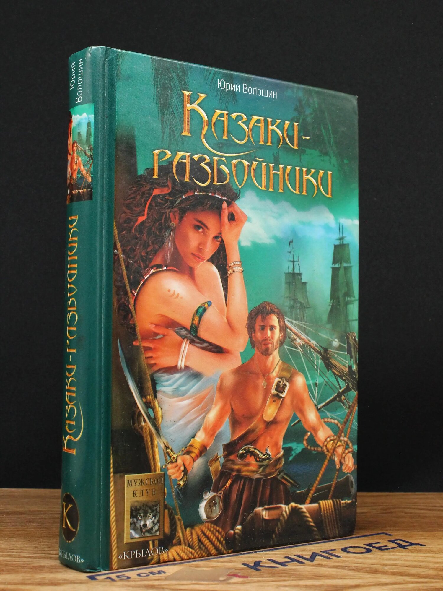 Книга. Казаки-разбойники 2005 (2045767016152)