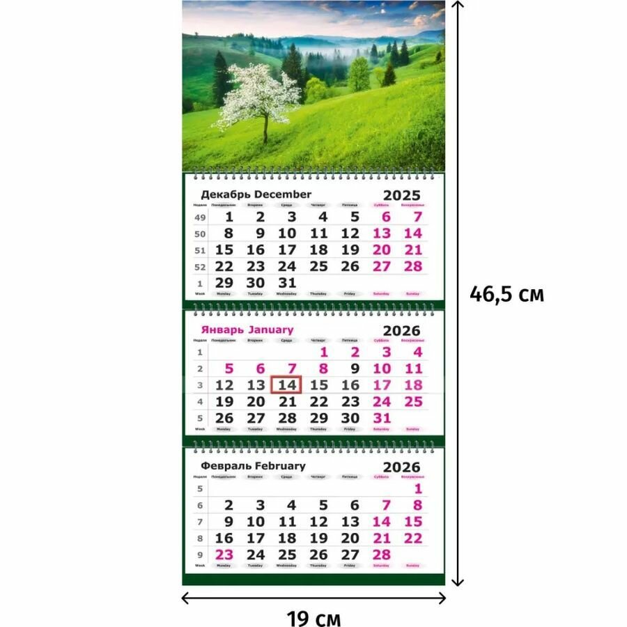 Календарь настенный 3-х блочный 2026 Attache, 190х465 мини, природа, 80г