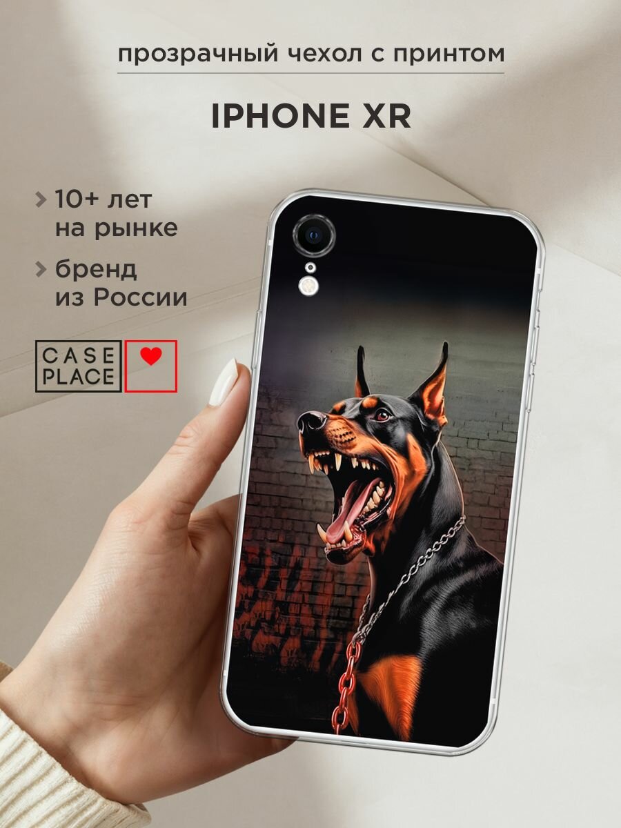Чехол на Apple iPhone XR / Айфон XR с принтом "Доберман с цепью"