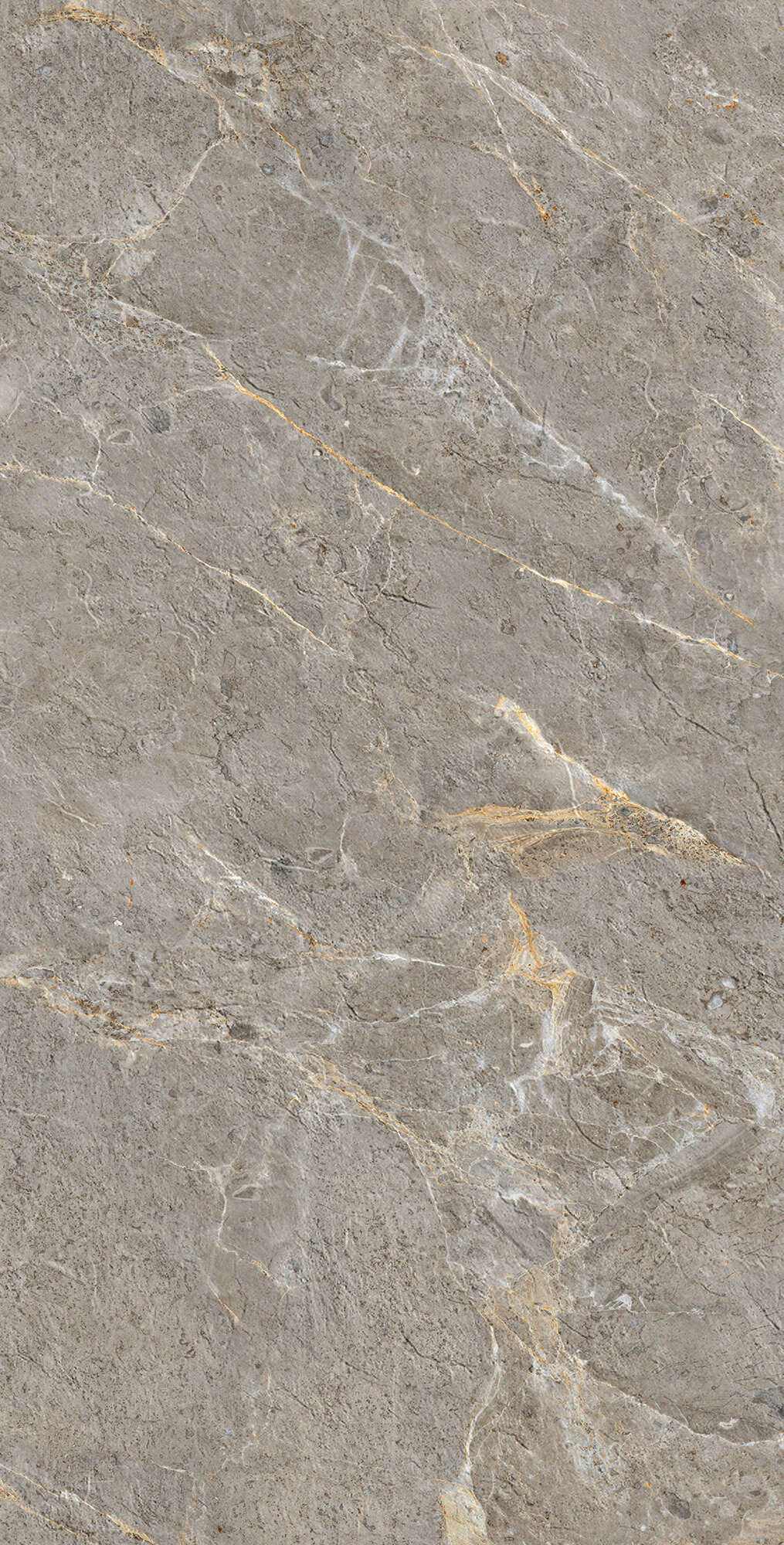 Керамогранит Arcadai Ceramica ROYAL GREY 1200 × 600 мм Поверхность: Матовая с глянцевым эффектом (цена за 1 плитку 0,72м2)