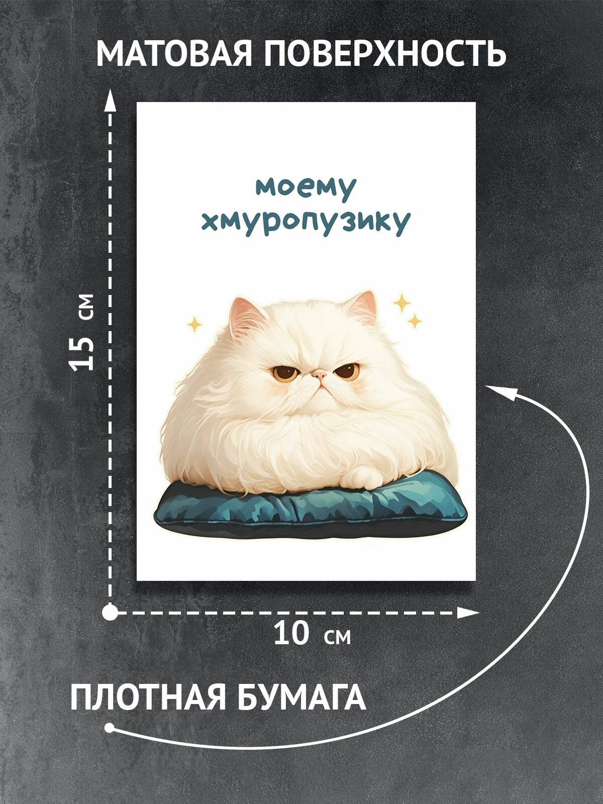 Подарочная открытка со смешной иллюстрацией персидского кота "Моему хмуропузику" с днем рождения, с юбилеем, без повода
