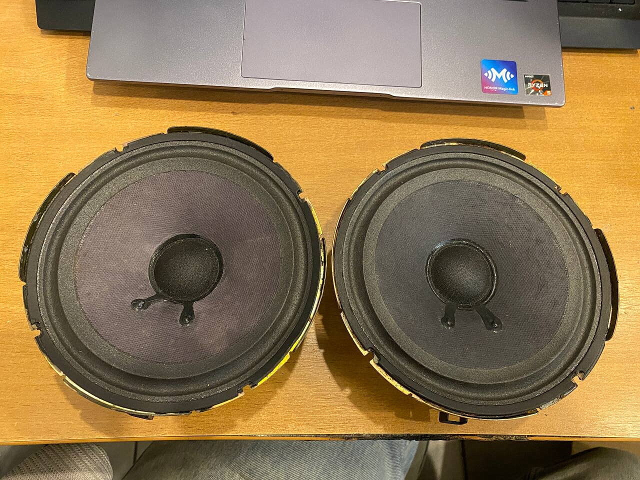 Динамики Delco Electronics 16246835 (пара)