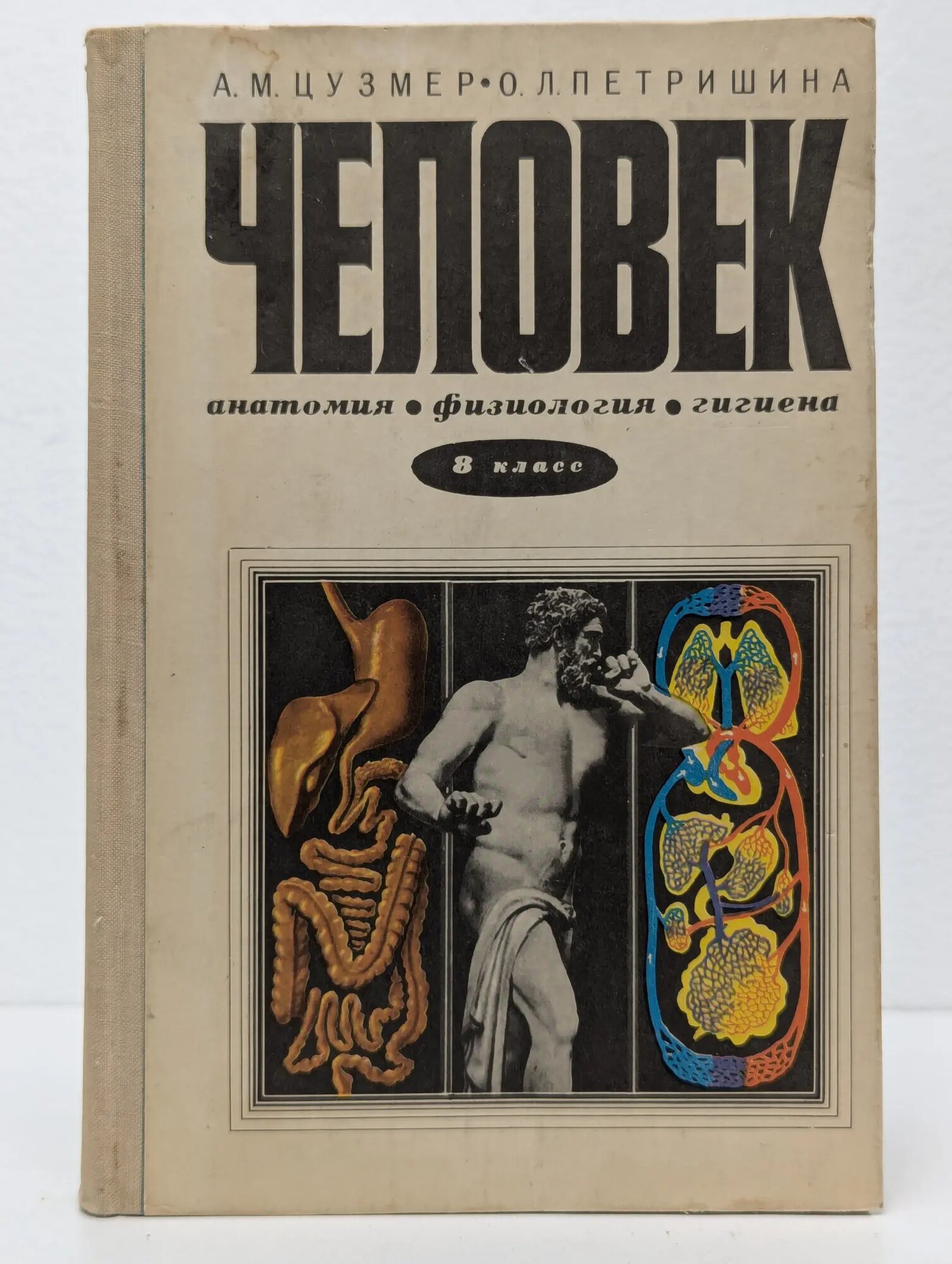 Человек. Анатомия, физиология, гигиена. 8 класс Цузмер Анна Моисеевна, Петришина Оксана Леонтьевна 1981